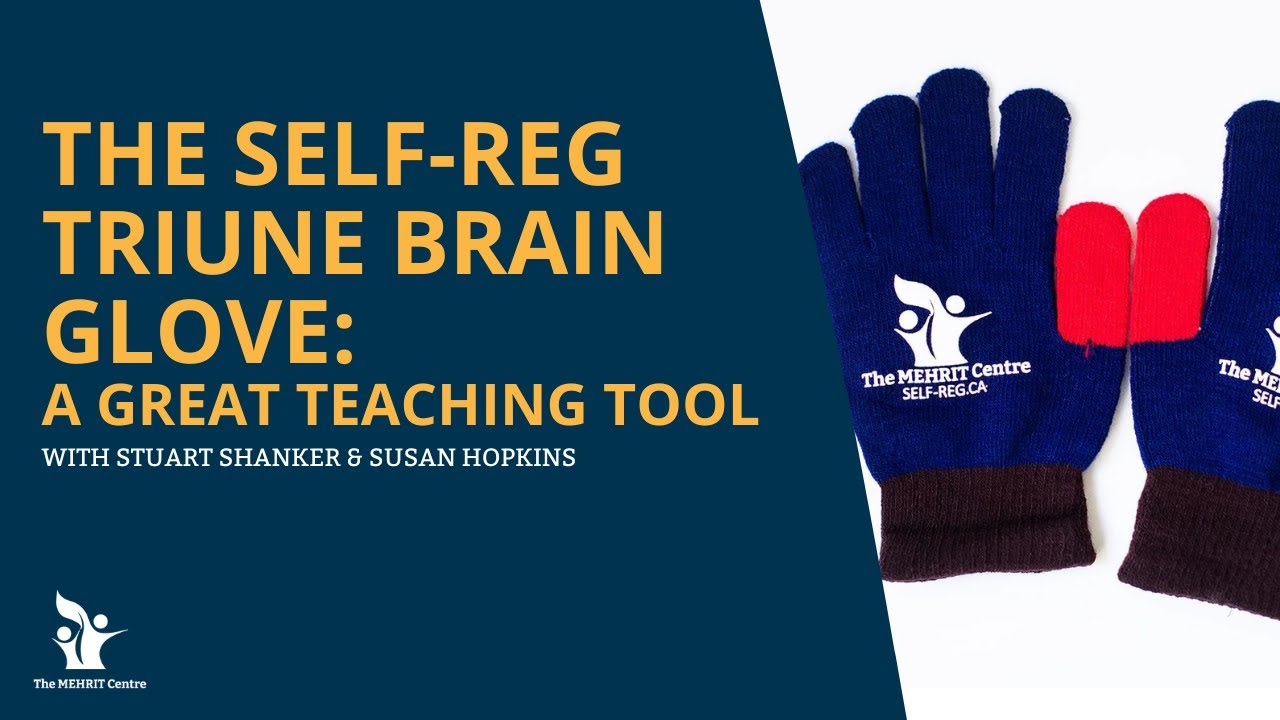 The Self-Reg Triune Brain Glove: A great teaching tool - YouTube