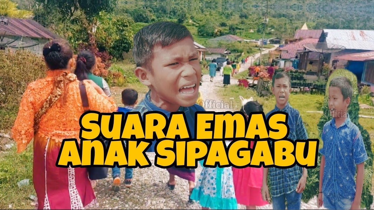Suara Emas dari Dolok Pinapan #thevoice #viral #toba #contentcreator ...