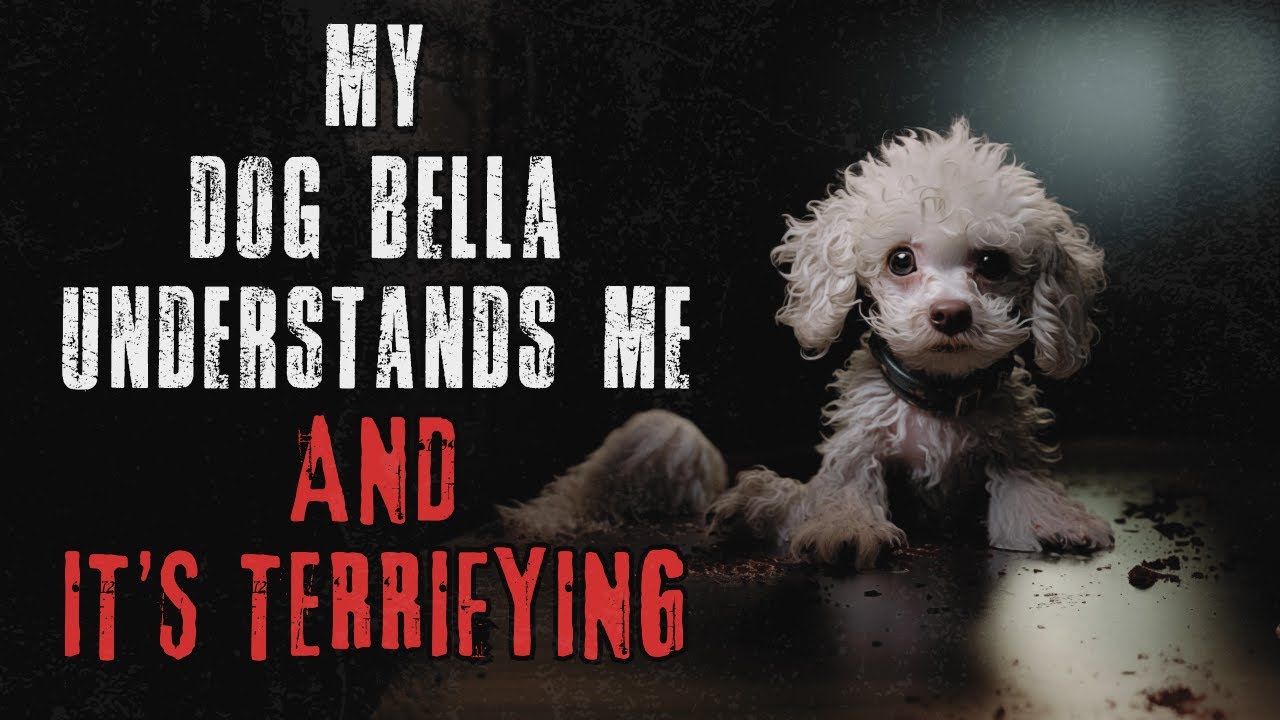 My Dog Bella Understands Me And It's Terrifying | Creepypasta | NoSleep ...