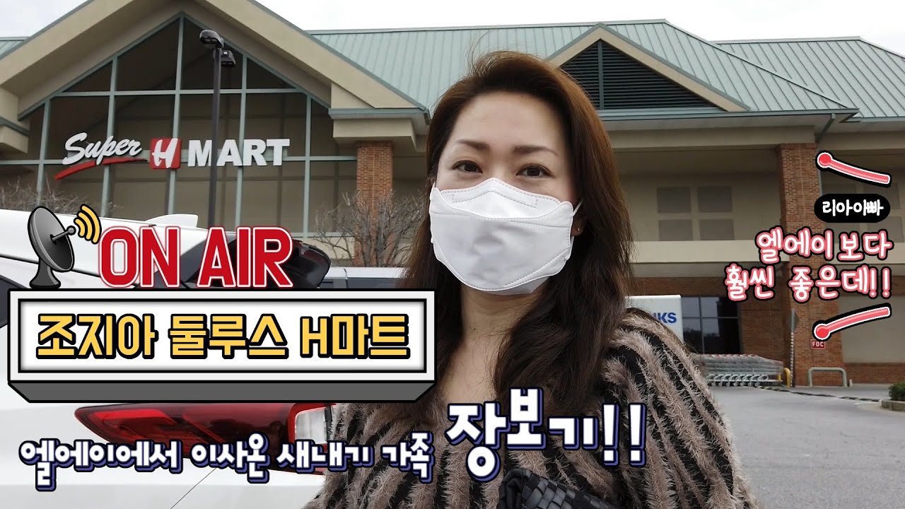 조지아 Vlog 조지아 애틀란타 둘루스 H마트 H Mart Duluth 장보기 조지아 애틀랜타 미국일상 Youtube