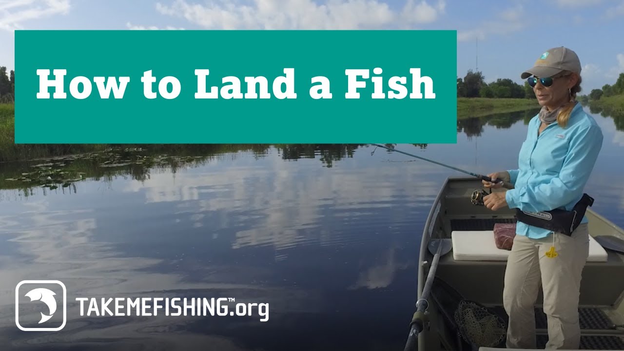 How to Land Fish - YouTube