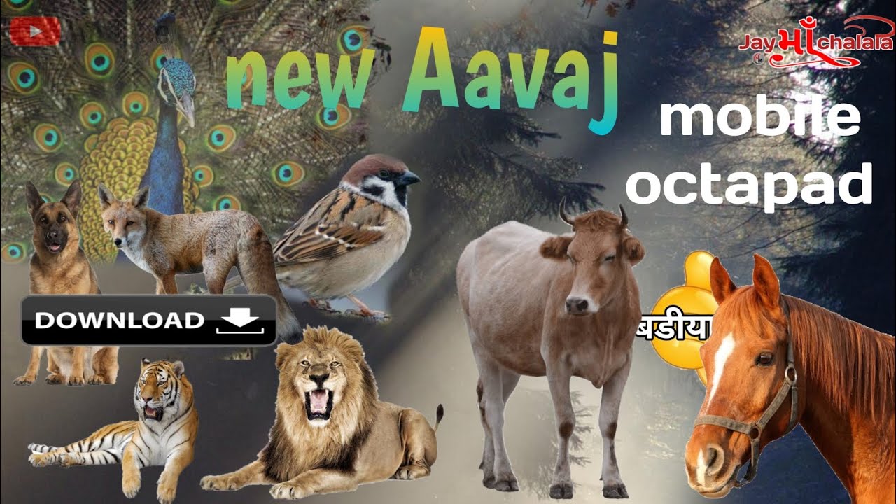 janvar aavaj // mobile octapad tone download // Jay maa chalala ...