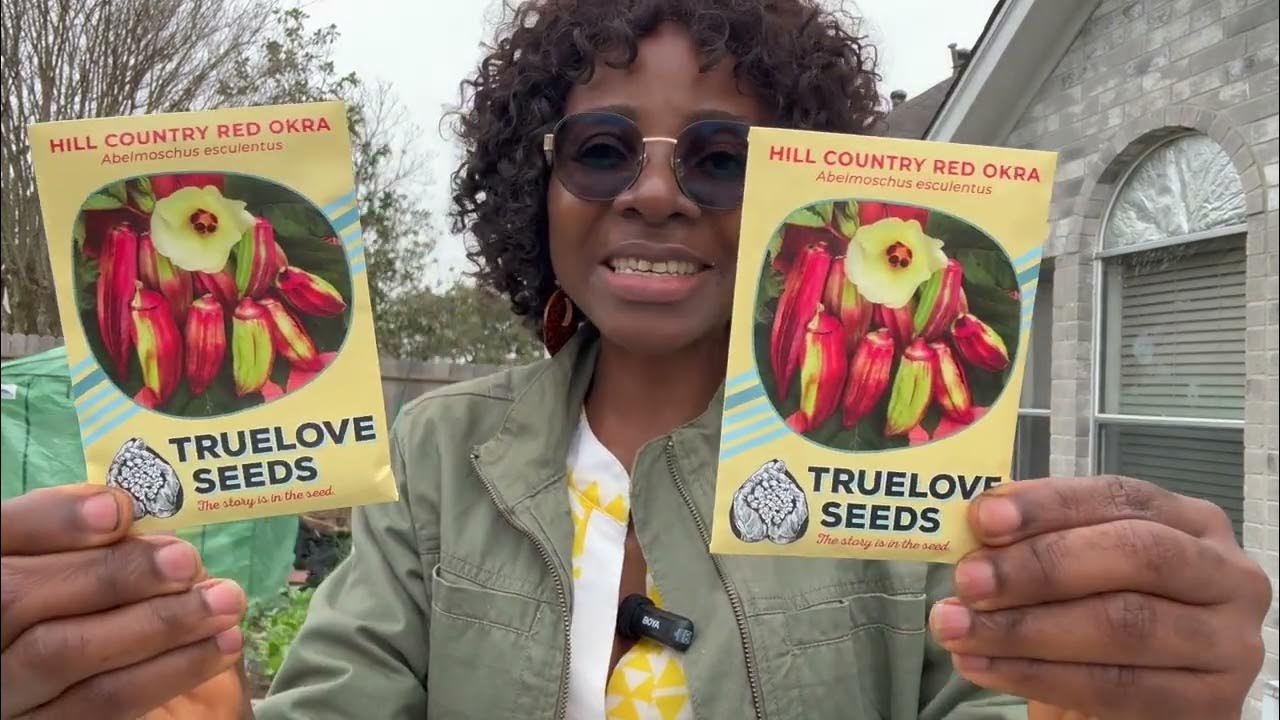 Where to Buy Vegetable Seeds for the African Diaspora - YouTube