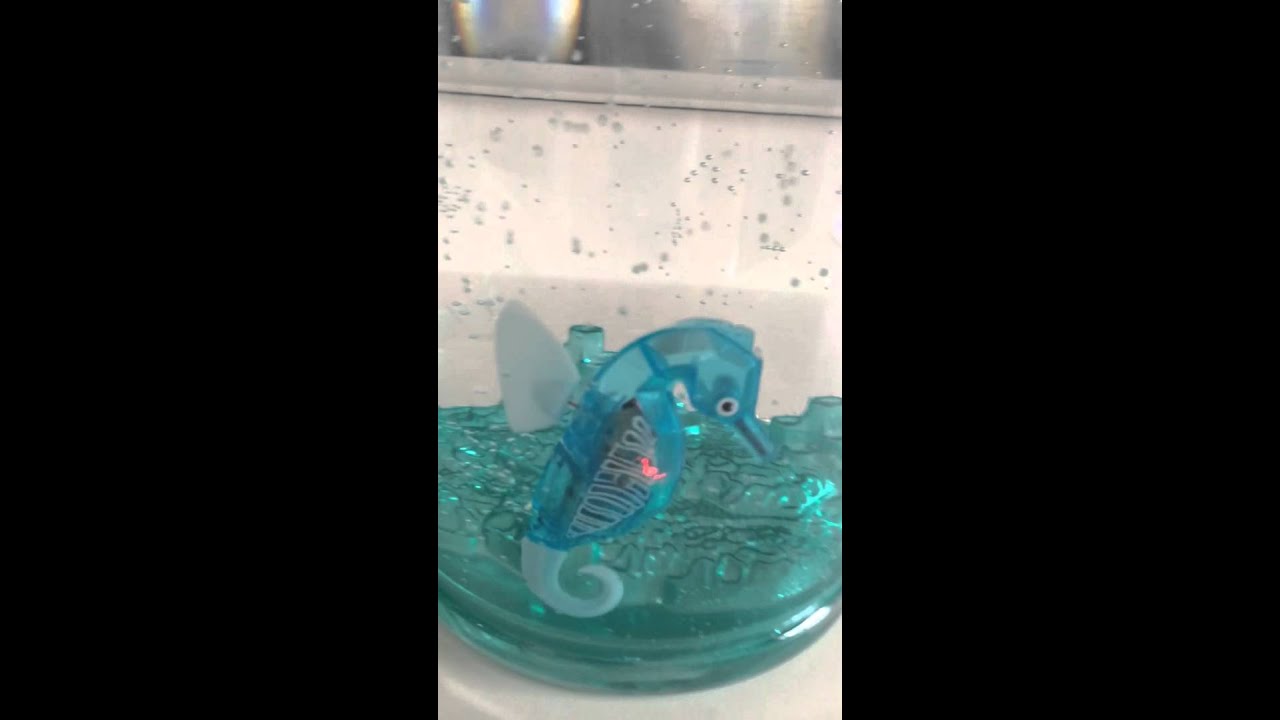 Hexbug AquaBot Seahorse - A Geek Daddy Toy Review - YouTube