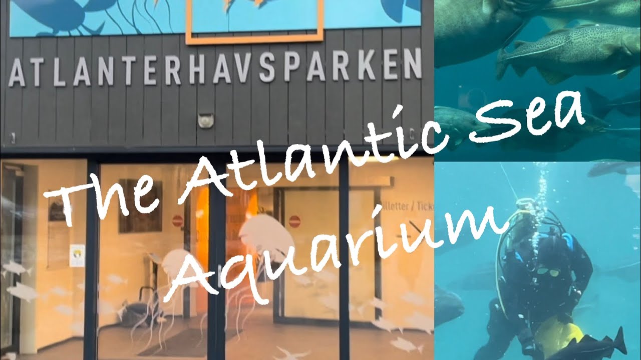 Visiting one of Europe’s largest saltwater aquariums ...