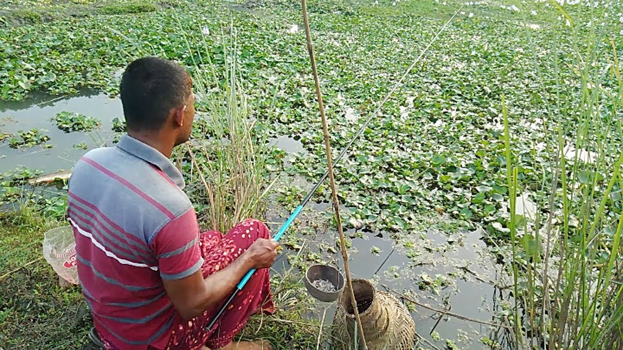 Best Fishing Video | Catching fish By Hook a fisherman | Amazing ...