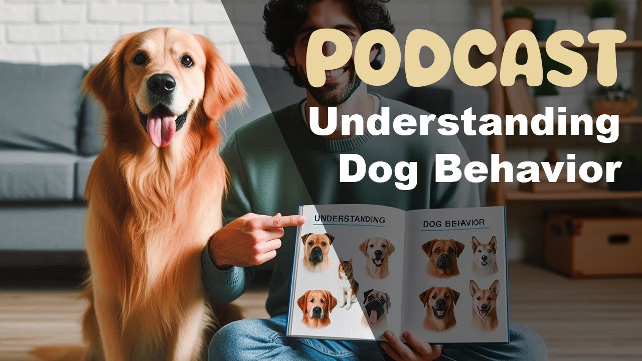Understanding Dog Behavior: Communication Basics - YouTube