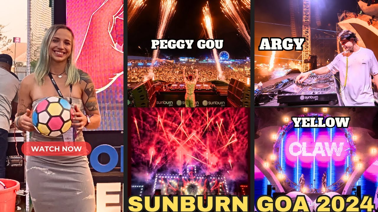 SUNBURN GOA 2024 FULL LIVE CONCERT VLOG | I WENT TO A CONCERT WITHOUT ...