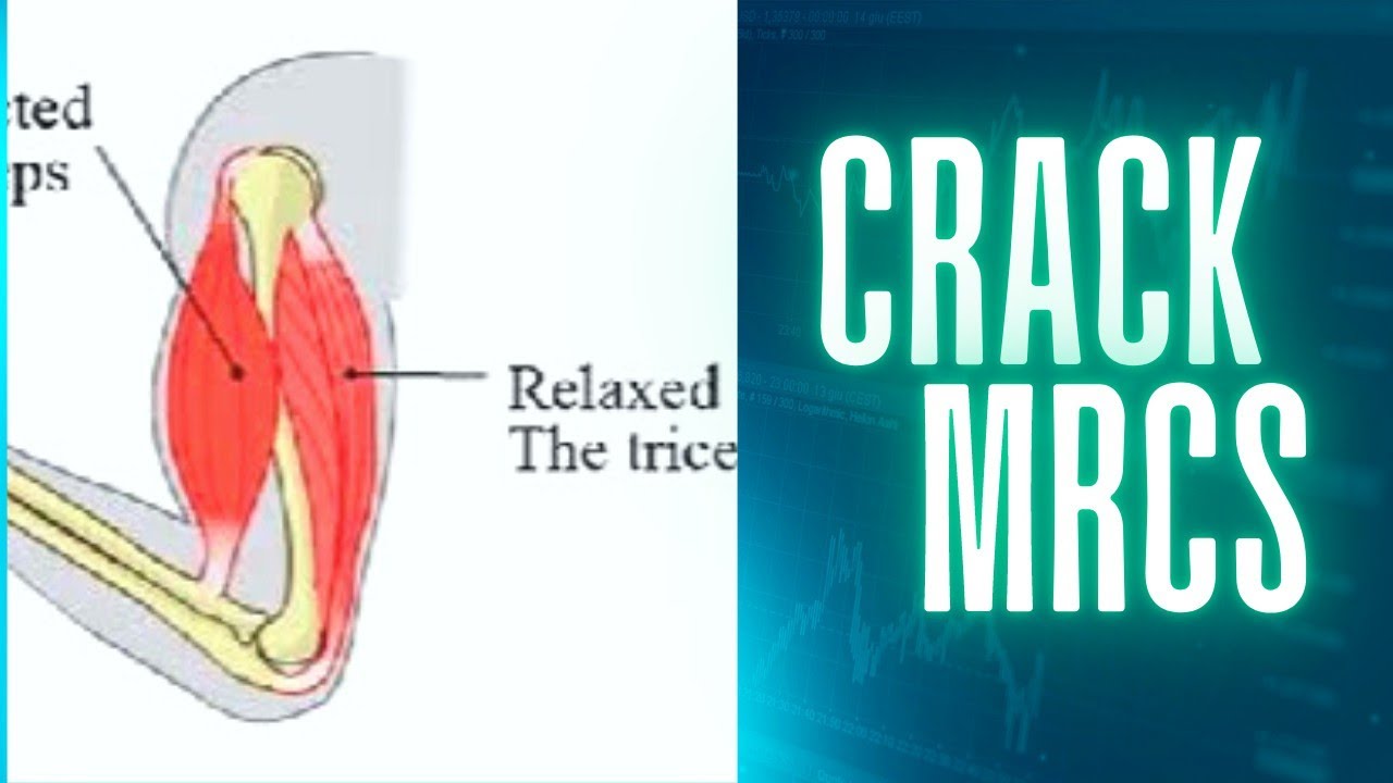 Elbow flexion muscle MRCS question solve (CRACK MRCS) - YouTube