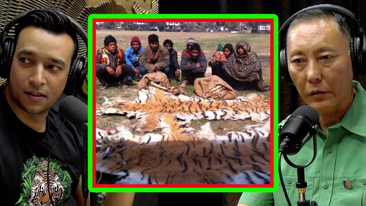 The War Against Animal Poaching | WWF Nepal - YouTube