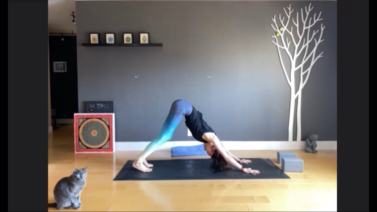 15 Minutes For Mild Heat Generating Body Opening - YouTube