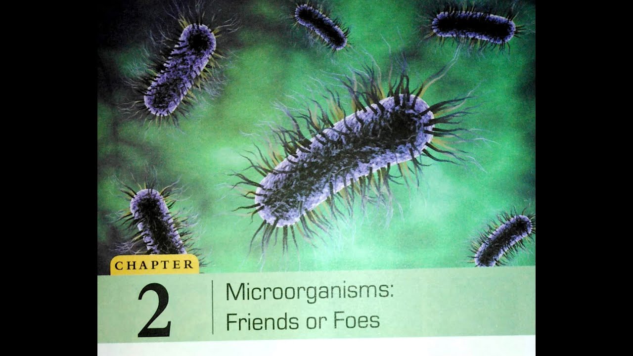 Microorganisms- Friends or Foes | Viruses | Habitat of Microorganisms ...