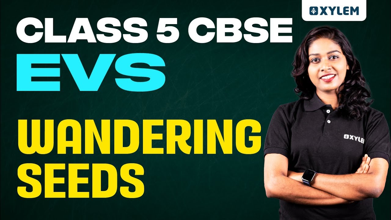 Class 5 CBSE Evs | Wandering Seeds | Xylem Class 5 CBSE - YouTube