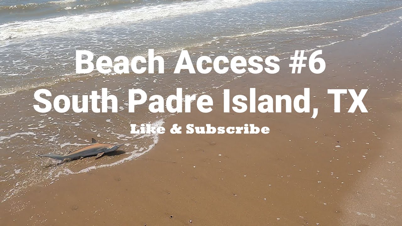 Beach Access #6, South Padre Island, TX Fishing July 2021 #12 - YouTube