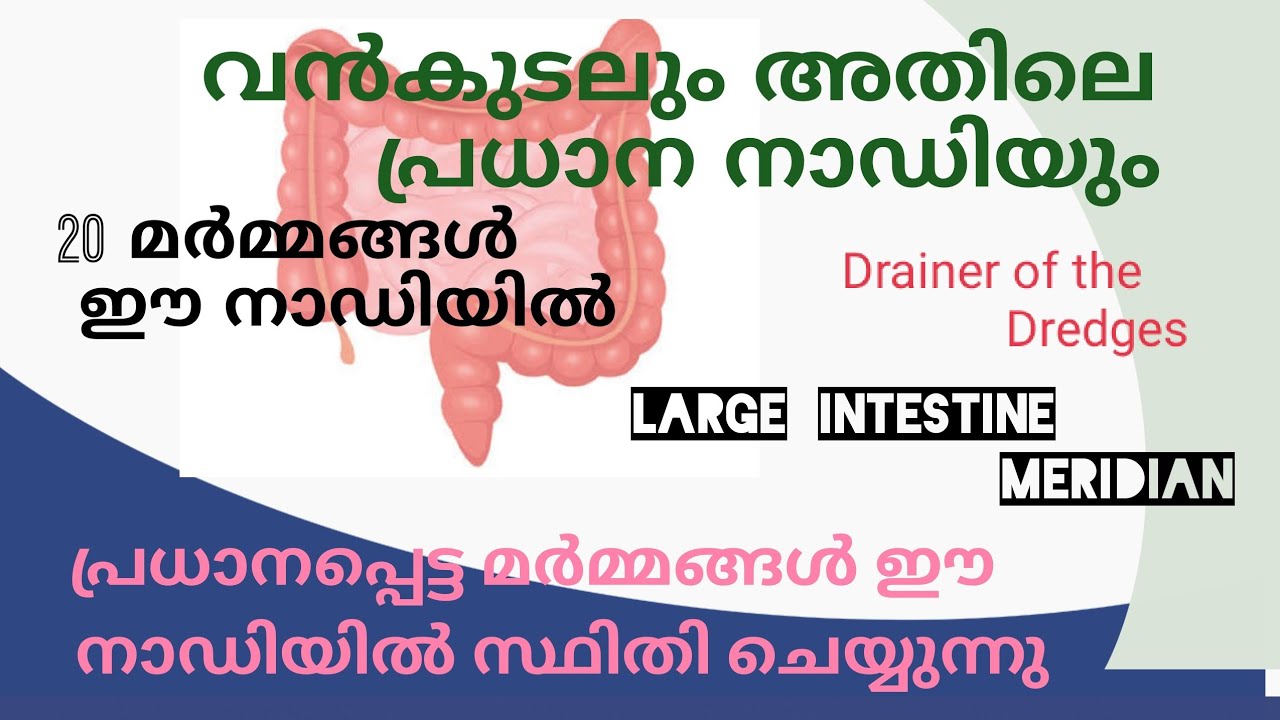 #വൻകുടലും പ്രധാന നാഡിയും#Large Intestine Meridian# - YouTube