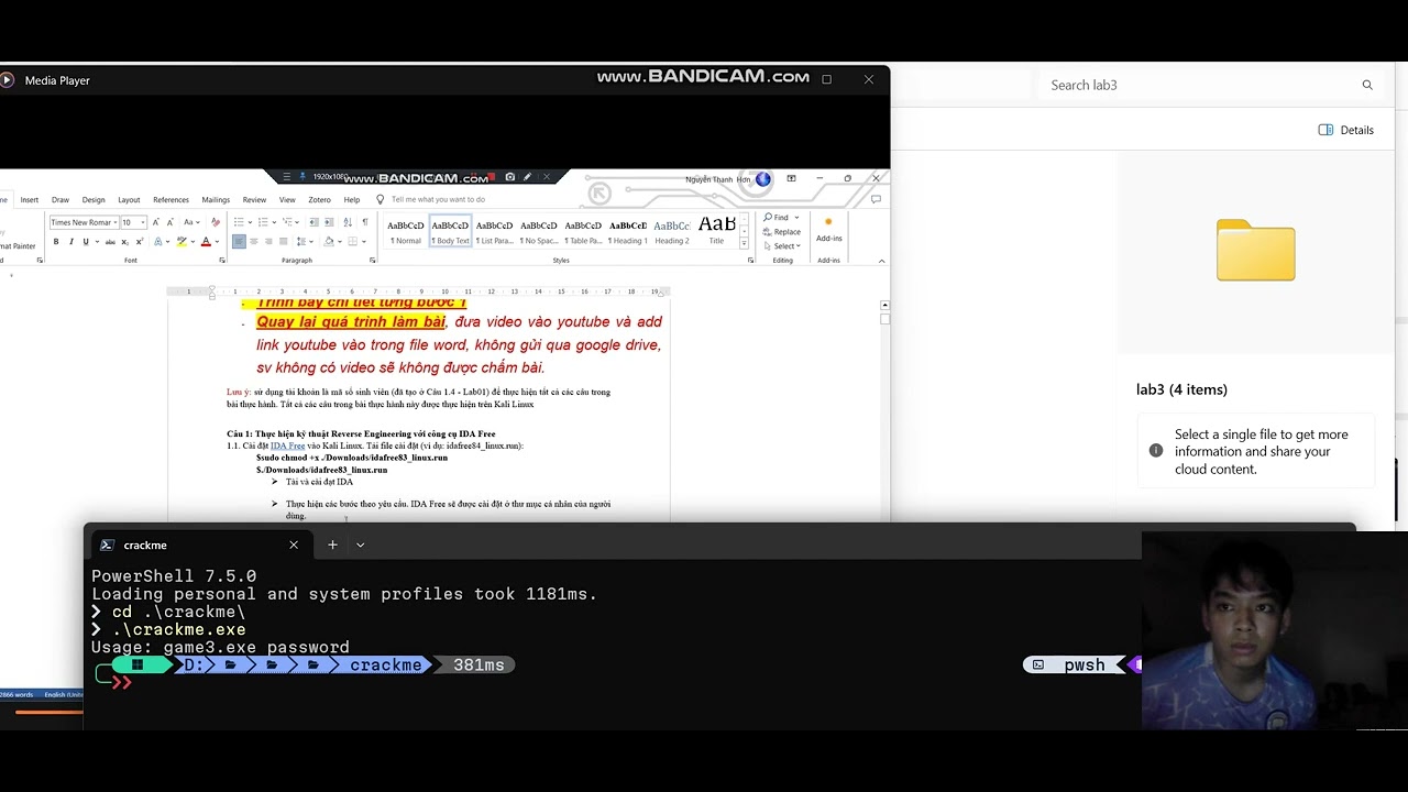 Lab3 Fuzzing - Reverse Engineering - Cryptography (1) - YouTube