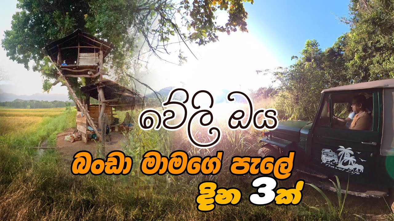 weli oya trip | වේලි ඔය බංඩා මාමගේ පැලේ දින 3ක් | #travel #srilanka # ...