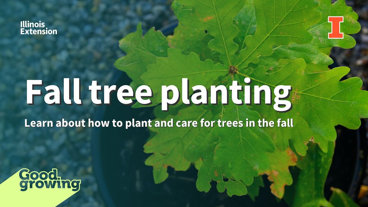 Gardenbite: Fall Tree Planting | #GoodGrowing - YouTube