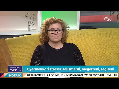 Gyermekkori stressz: felismerni, megérteni, segíteni – Mozaik