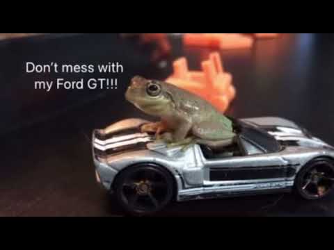 Frog in a Ford GT - YouTube