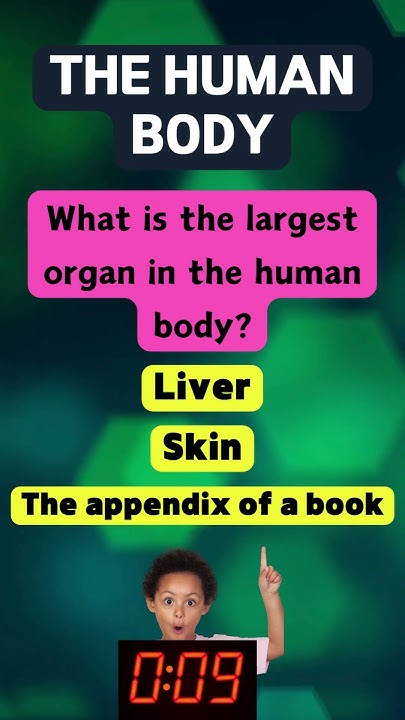 [10 Seconds Speed Quiz] The Human Body 퀴즈로 배우는 영어 #shorts #영어퀴즈 ...