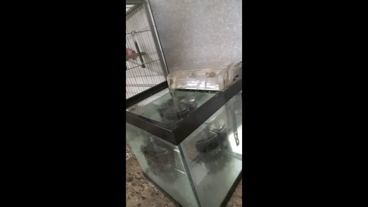 DIY hang on the back air powered filter - YouTube