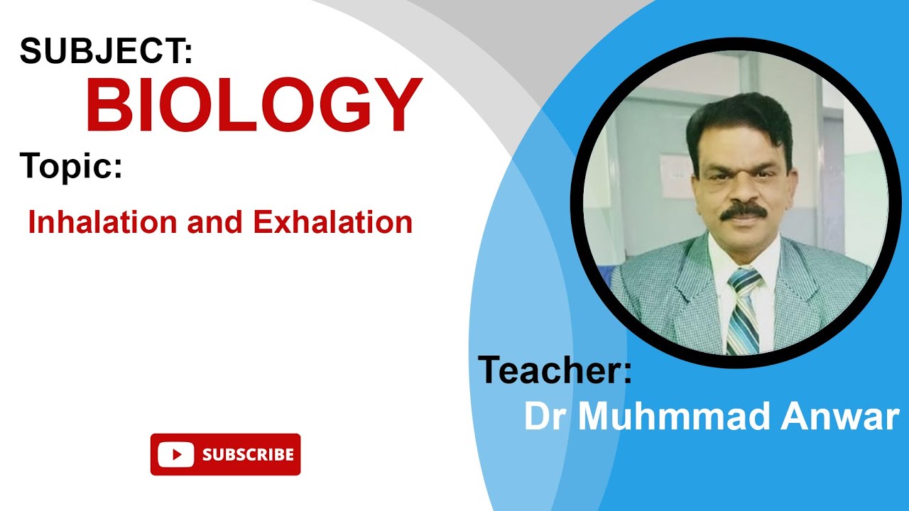Inhalation and Exhalation | Dr Muhammad Anwar - YouTube