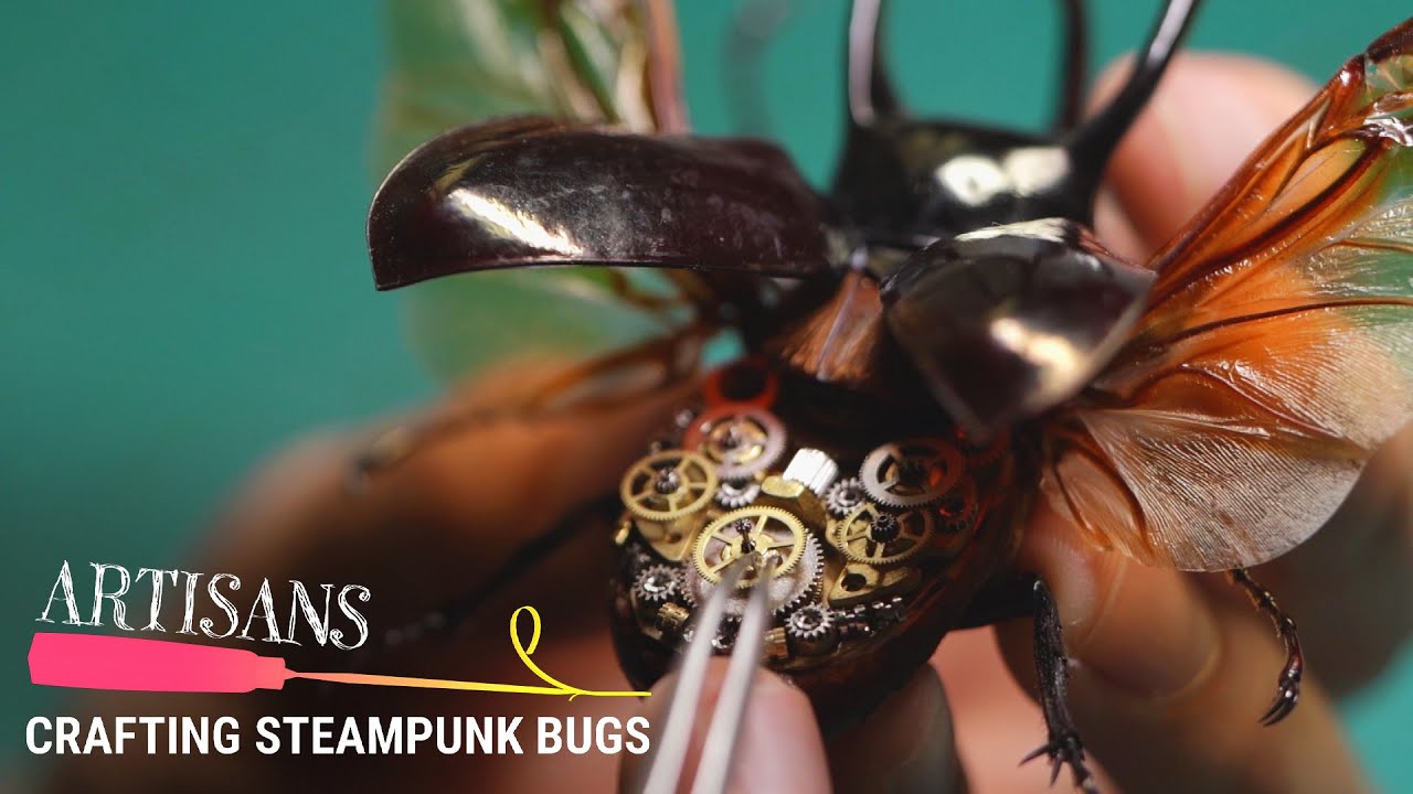 Engineer Turns Real Bugs Into Amazing Steampunk Works of Art - YouTube