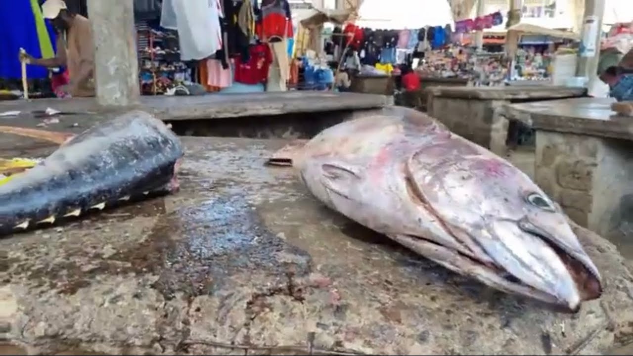 Reportage Au Marché De Fomboni Moheli, Le Presdent Des Pêcheurs Aux ...