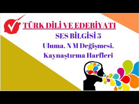 TÜRK DİLİ VE EBEBİYATI / Uluma, N M Değişmesi, Kaynaştırma Harfleri (Pratik Çözümleri)