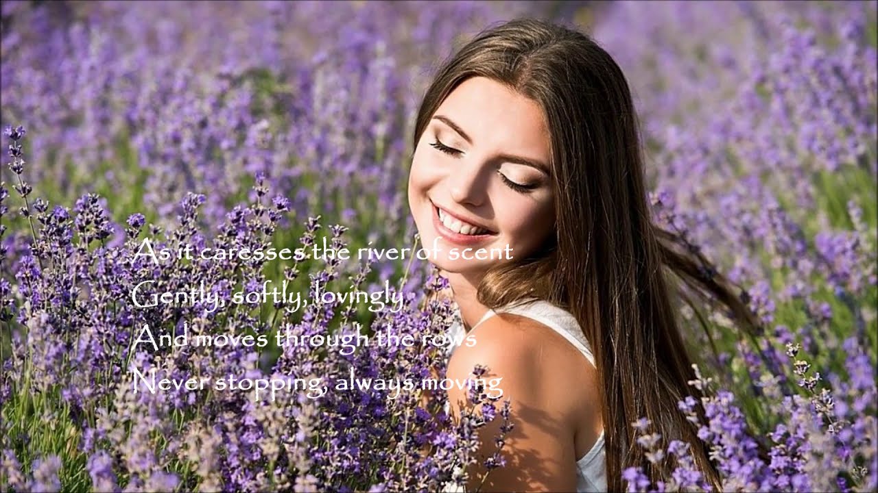 LAVENDER FIELDS - Lorannine - 3 Poems Lavenders - YouTube
