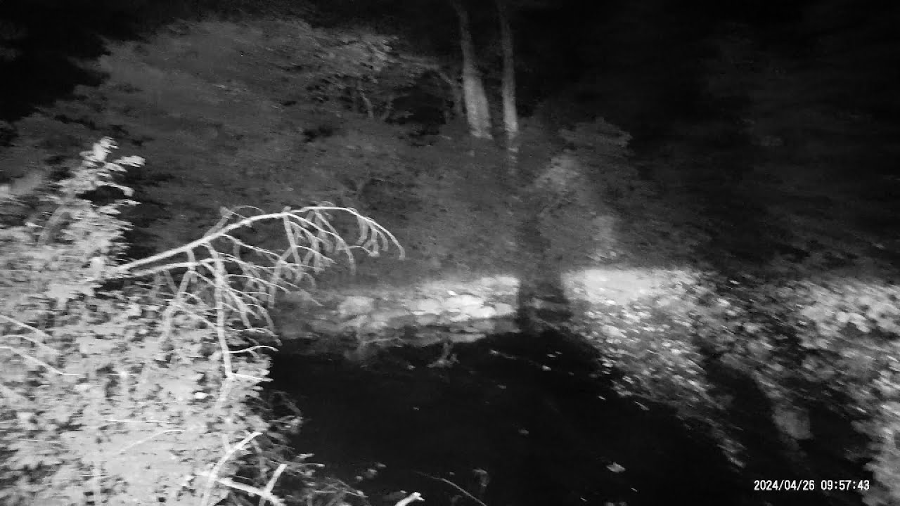 Bridgewater triangle Copicut rd. fall river / Freetown line - YouTube