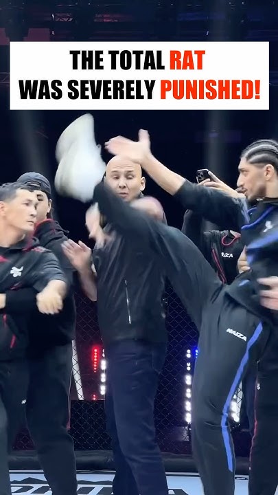 This sneaky fighter did the rat act and regretted it greatly.... - YouTube