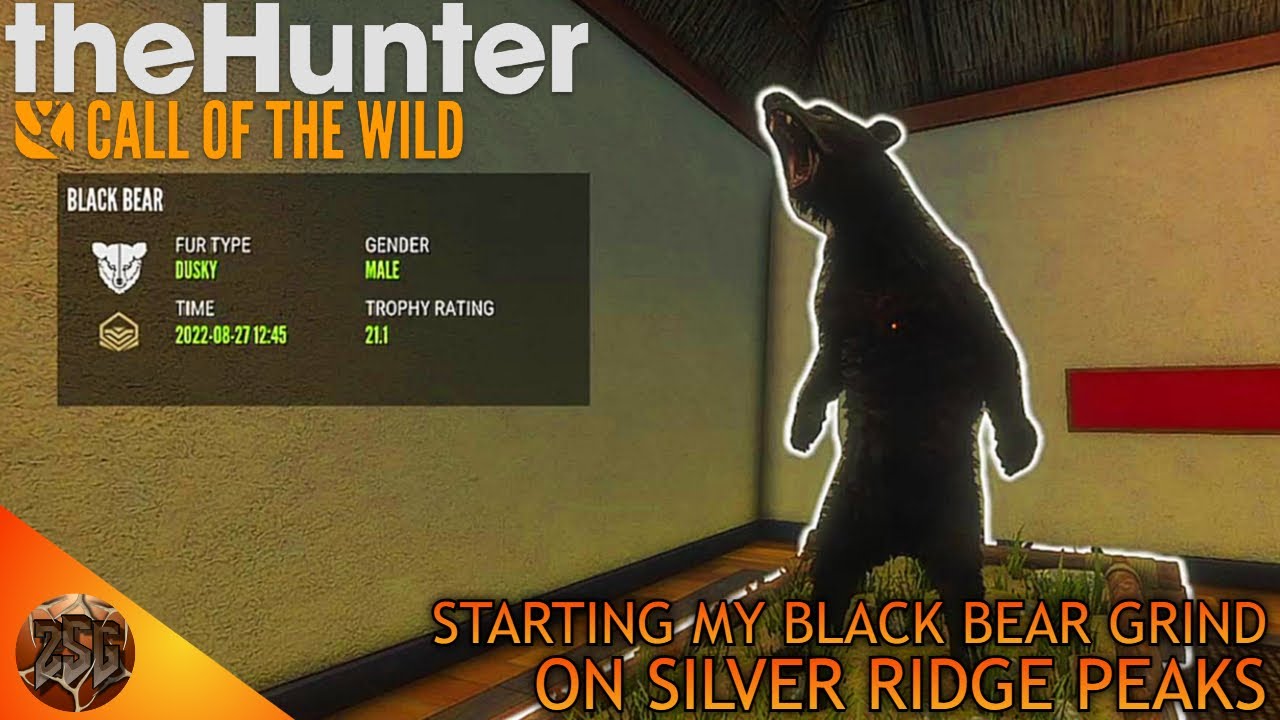 STARTING MY BLACK BEAR GRIND ON SILVER RIDGE PEAKS | TheHunter : COTW ...