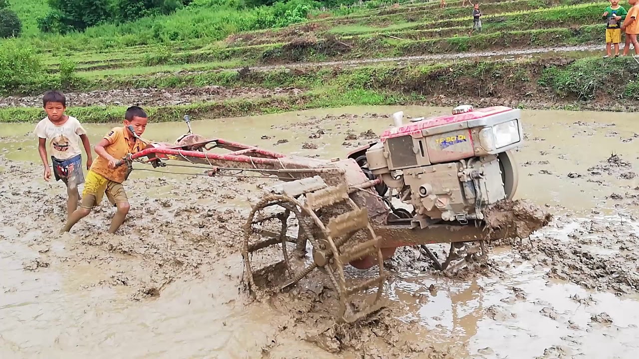 This 10 years old Kid is plowing in the rice field - YouTube