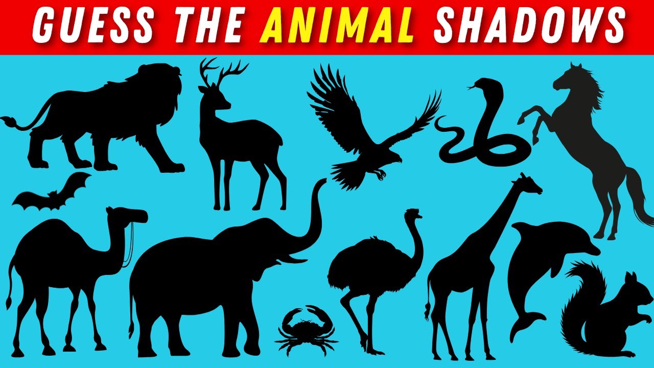 Can You Guess the ANIMAL by Its SHADOW? 50 Animals Challenge! 🐯🔍 - YouTube