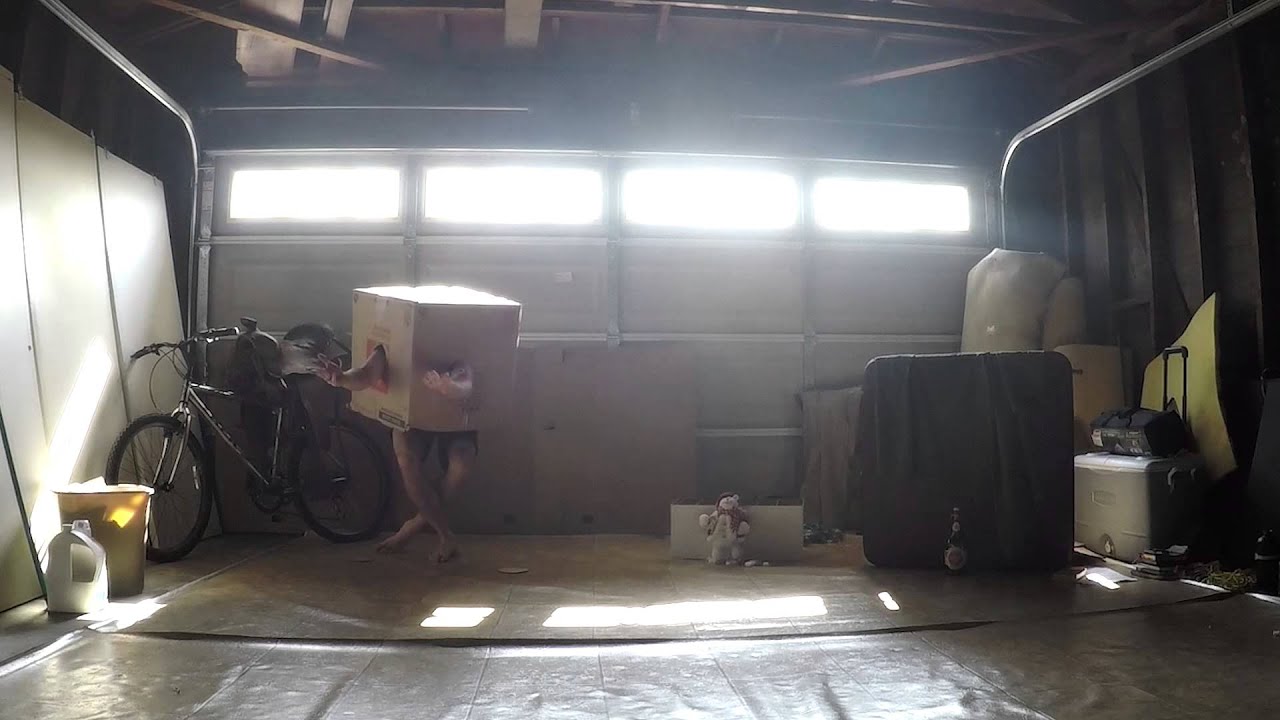 Could you fit into a box? - YouTube