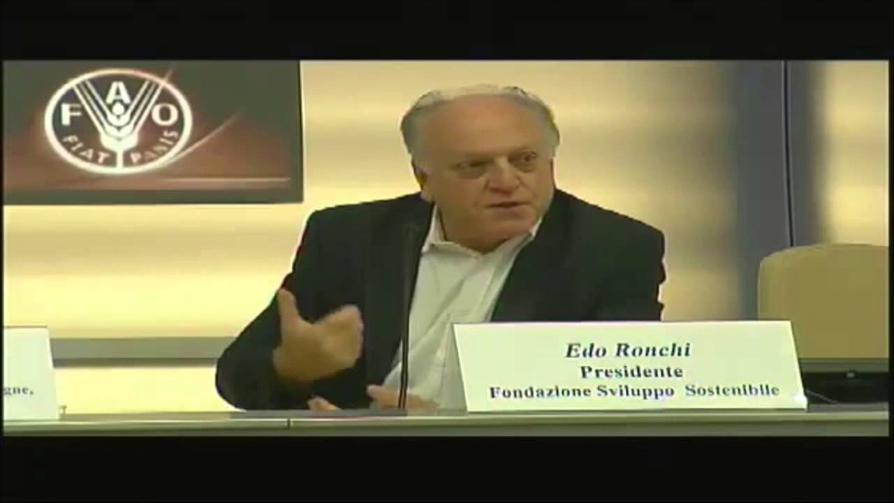 Edo Ronchi -Presidente Fondazione Sviluppo Sostenibile - YouTube