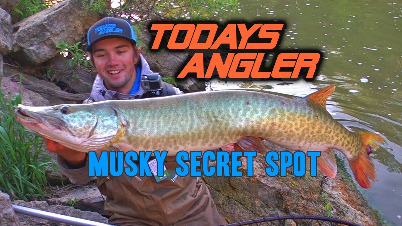 Musky Secret Spot - Post Spawn River Fishing - Todays Angler - YouTube