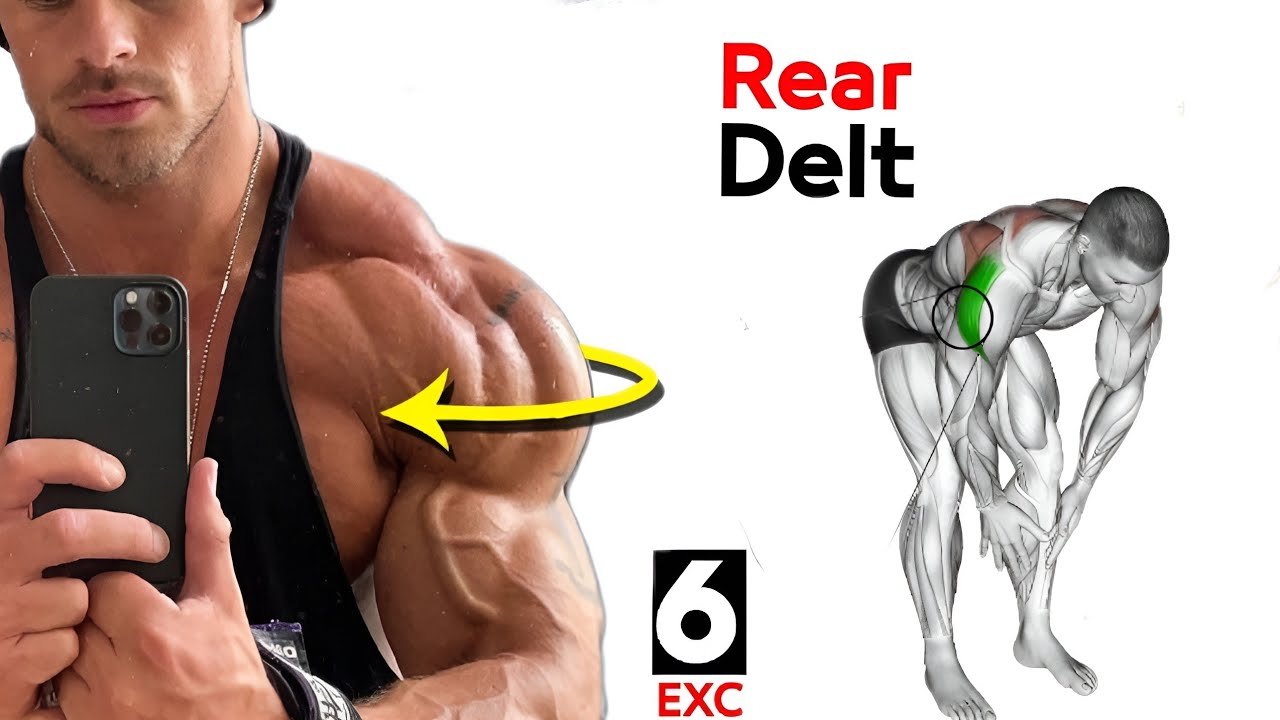 The 6 most powerful exercises to enlarge and amplify the back shoulder ...
