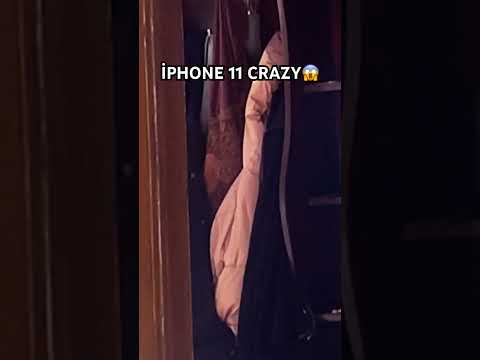 31 декабря 2025 г.