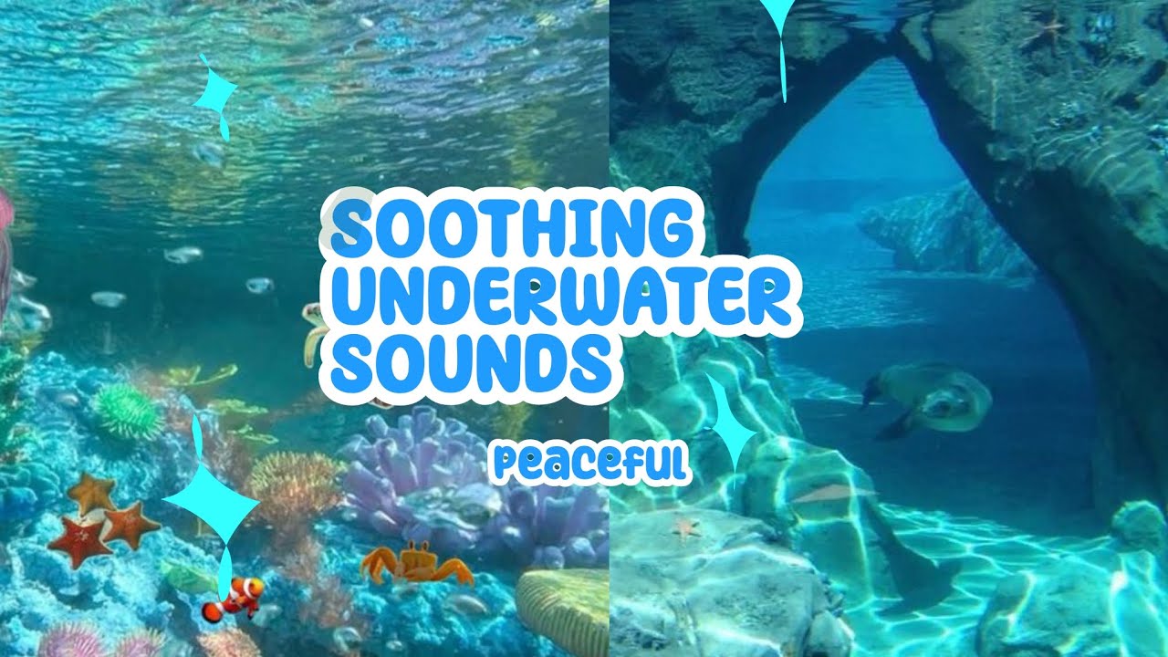 Immerse Yourself: Tranquil Underwater Sounds for Relaxation and Sleep 💧 ...
