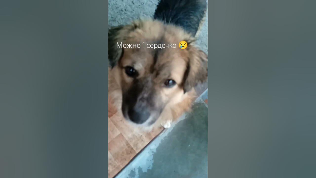 р🖤е🖤к🖤о🖤м🖤е🖤н🖤д🖤а🖤ц🖤и🖤и можноврек Youtube