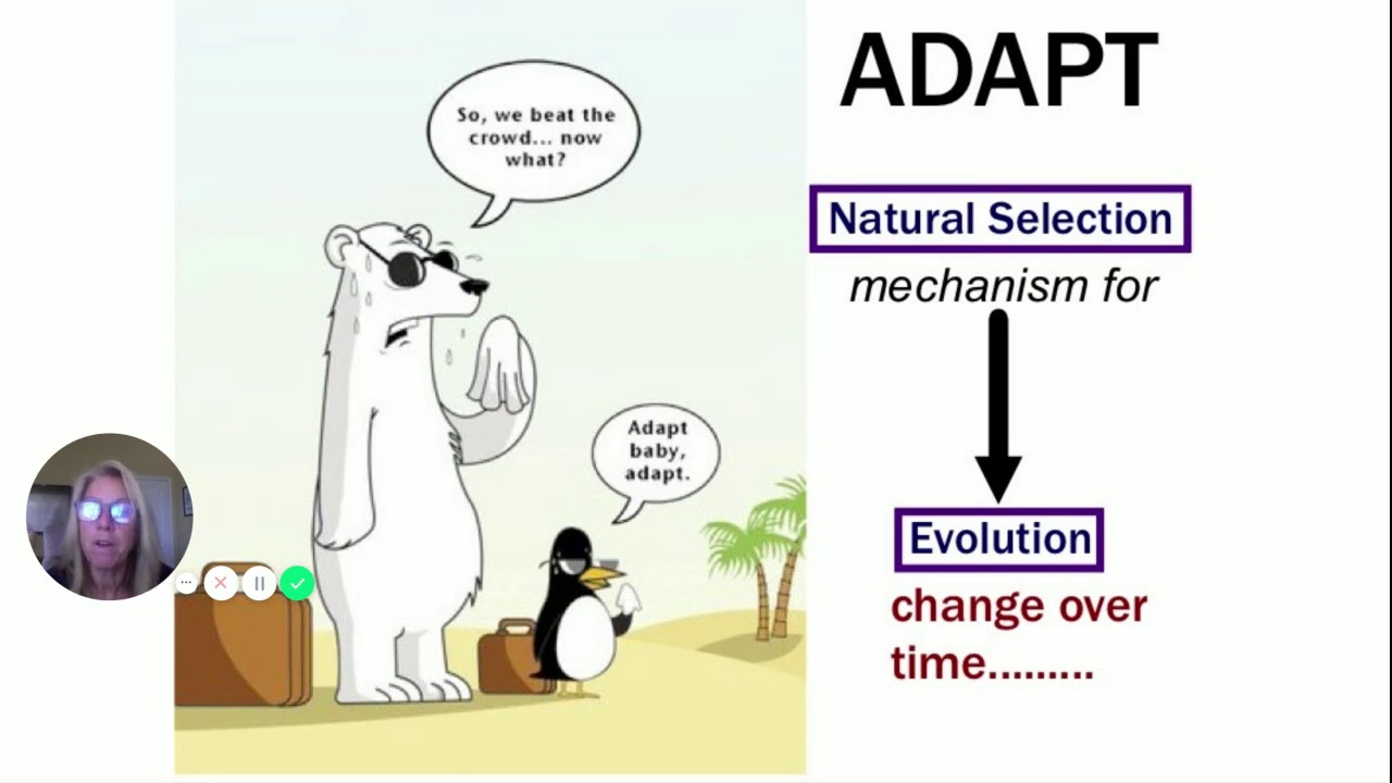 APBio Chapter 01, part 1 Intro to Bio & the Four Big Ideas - YouTube