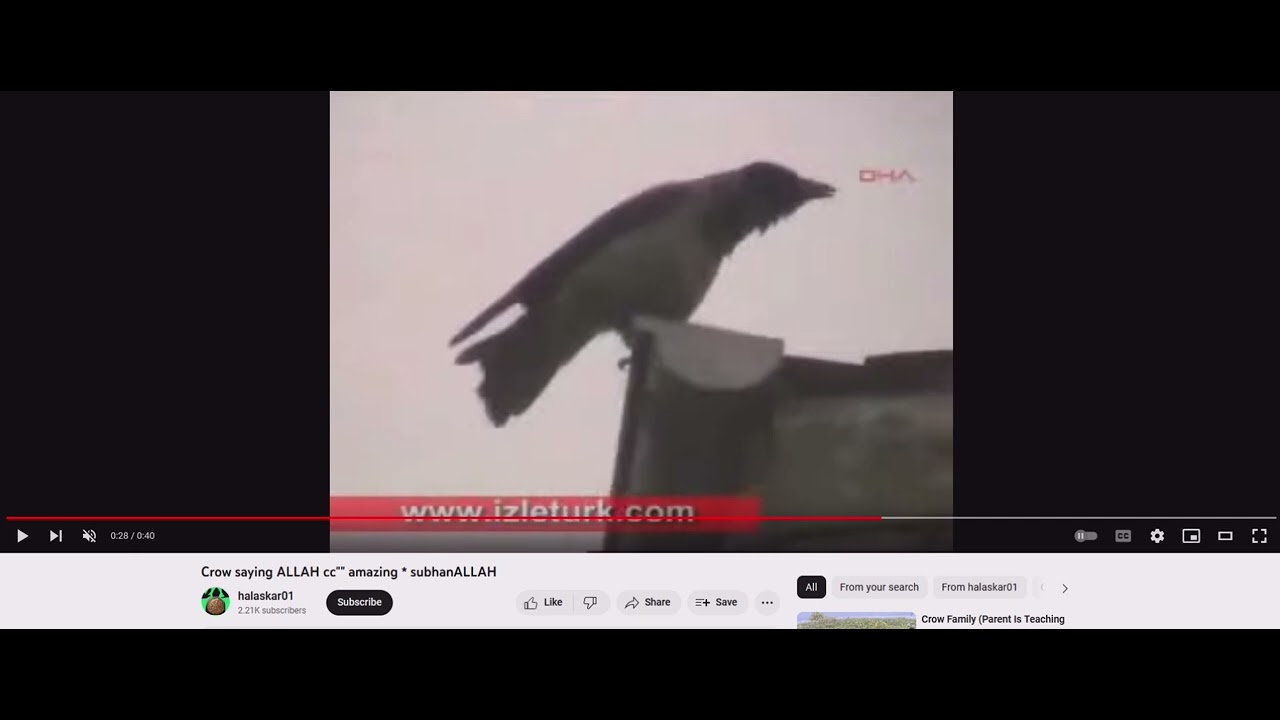 Faking the Allah Bird Test w Jesus recording (1Brian God=6) - YouTube