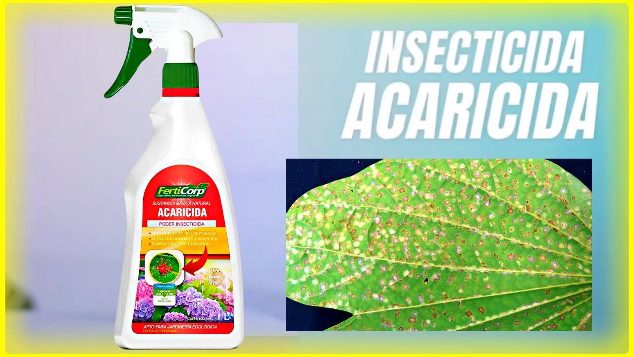Insecticida Acaricida: ¡Mata ácaros (araña roja) e insectos en un ...