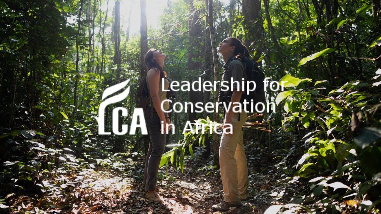 The power of eco-healing and how to tap into it - YouTube