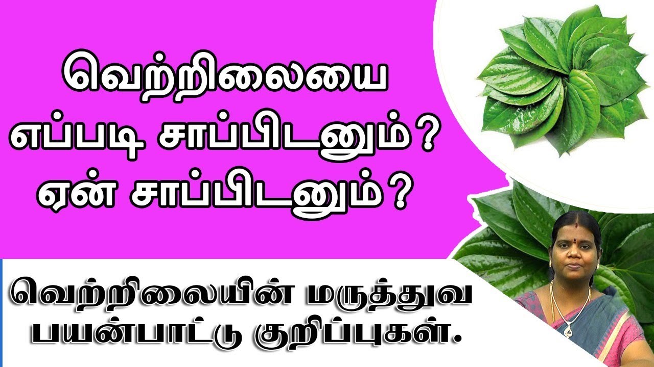 Vetrilai Benefits in Tamil, Vetrilai Maruthuvam in Tamil, Vetrilai ...
