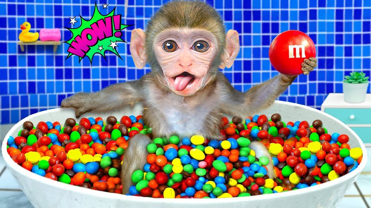 Mono DiDi se Divierte en una Tina Arcoíris Llena de Dulces M&M y ...