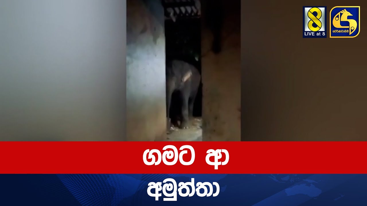 ගමට ආ අමුත්තා Youtube
